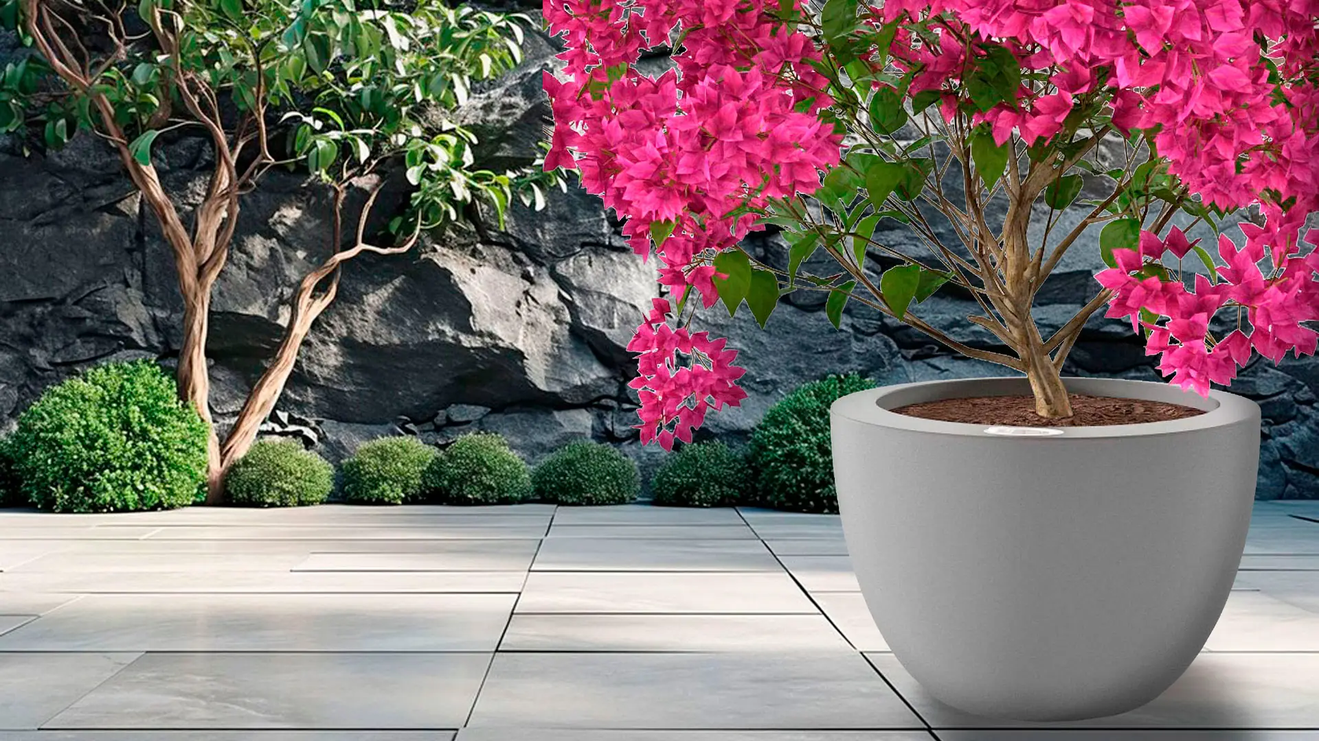 podd Pflanzgefäße Archive - Heller Green